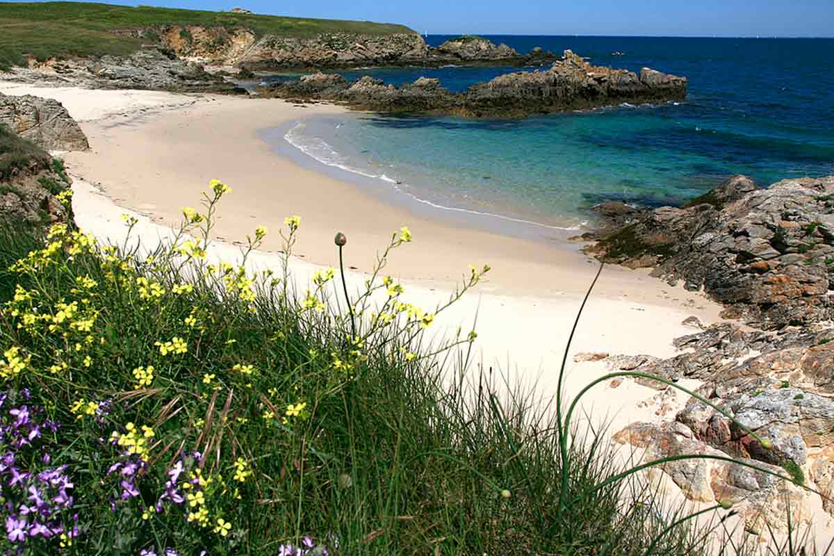 sortie-journee-week-end-plage - CHALLENGE OCEAN